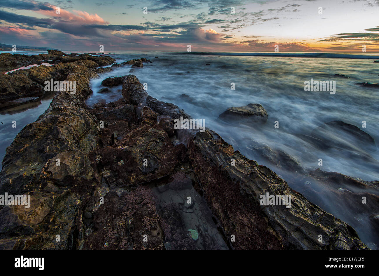 Crystal cove state park hi-res stock photography and images - Alamy