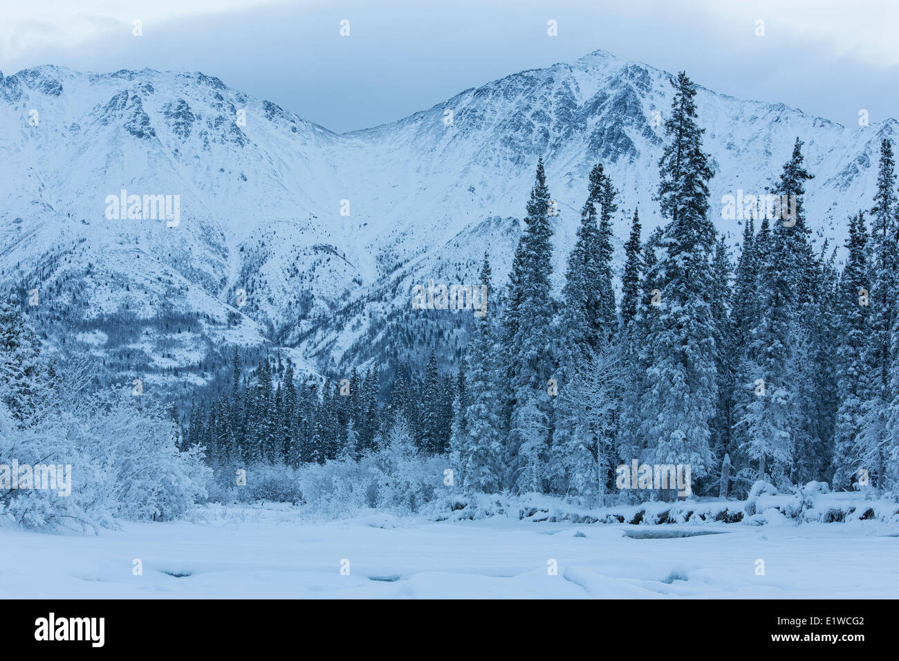 The mountains of the Wheaton River Valley, outside of Whitehorse, Yukon ...