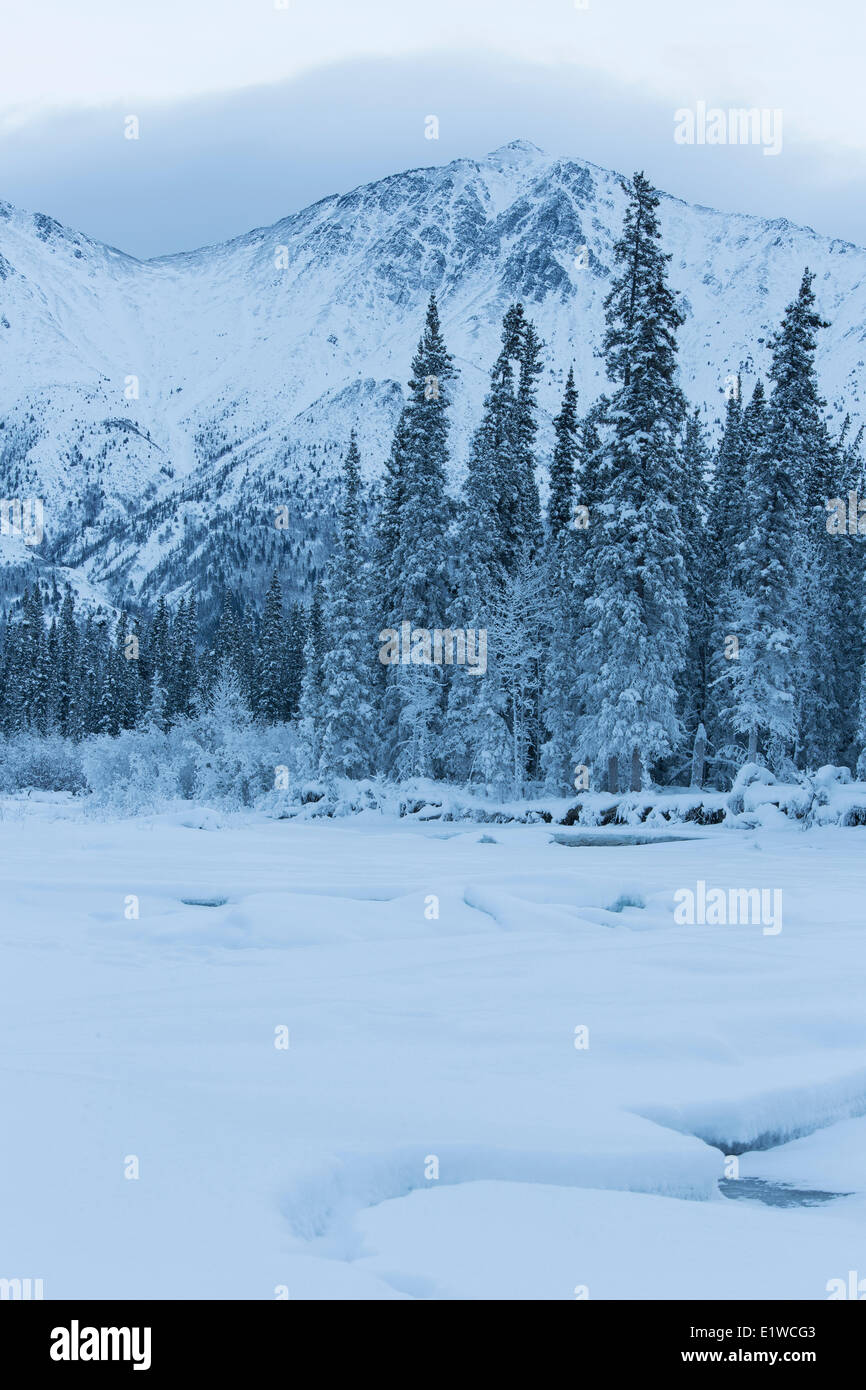 The mountains of the Wheaton River Valley, outside of Whitehorse, Yukon ...