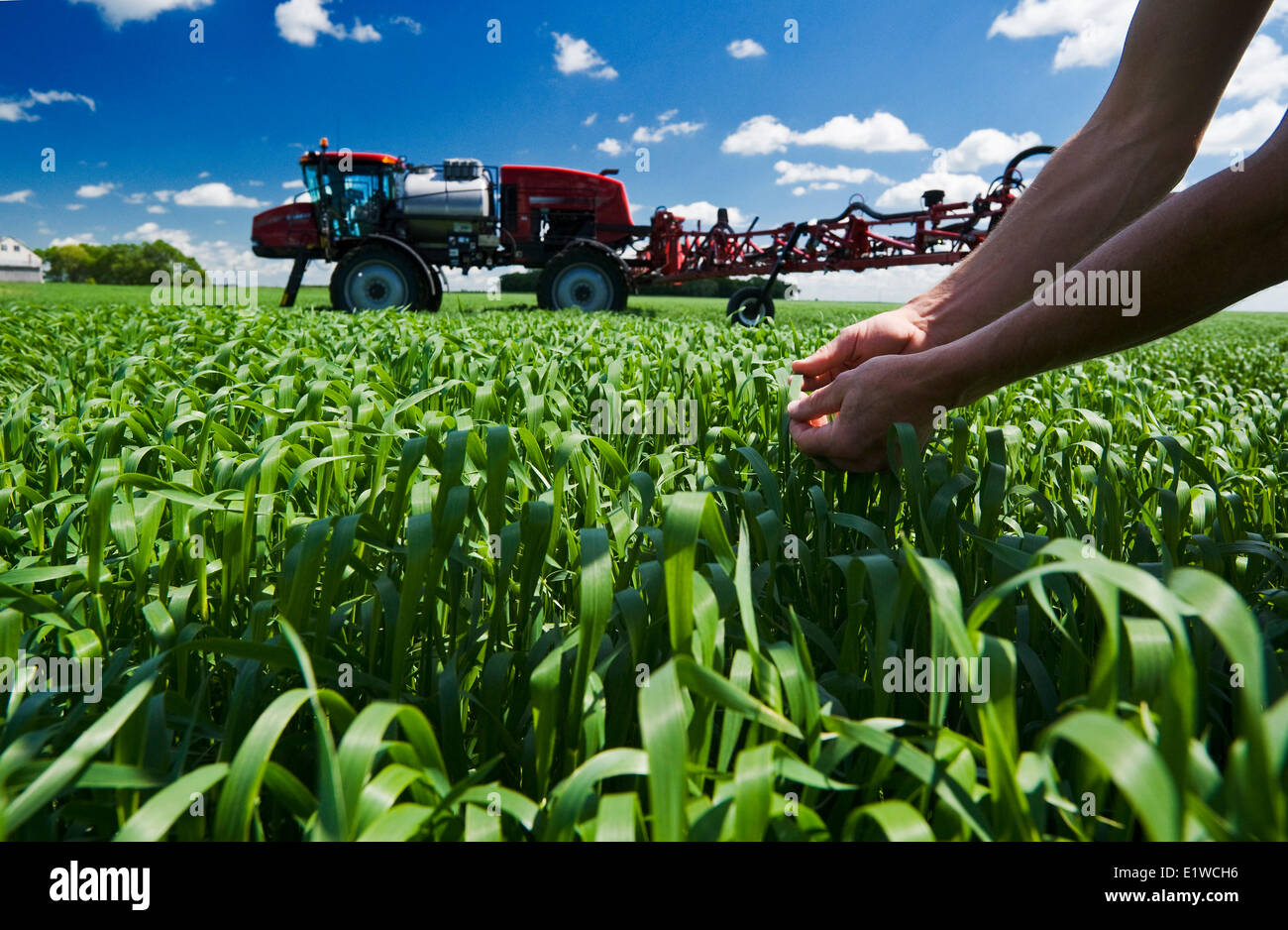Herbicide application hi-res stock photography and images - Alamy