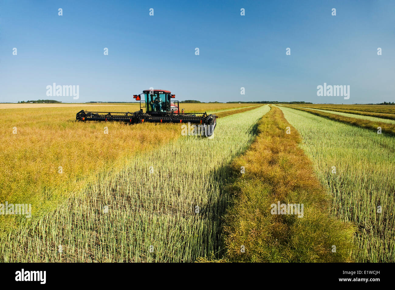 Swathing hi-res stock photography and images - Alamy