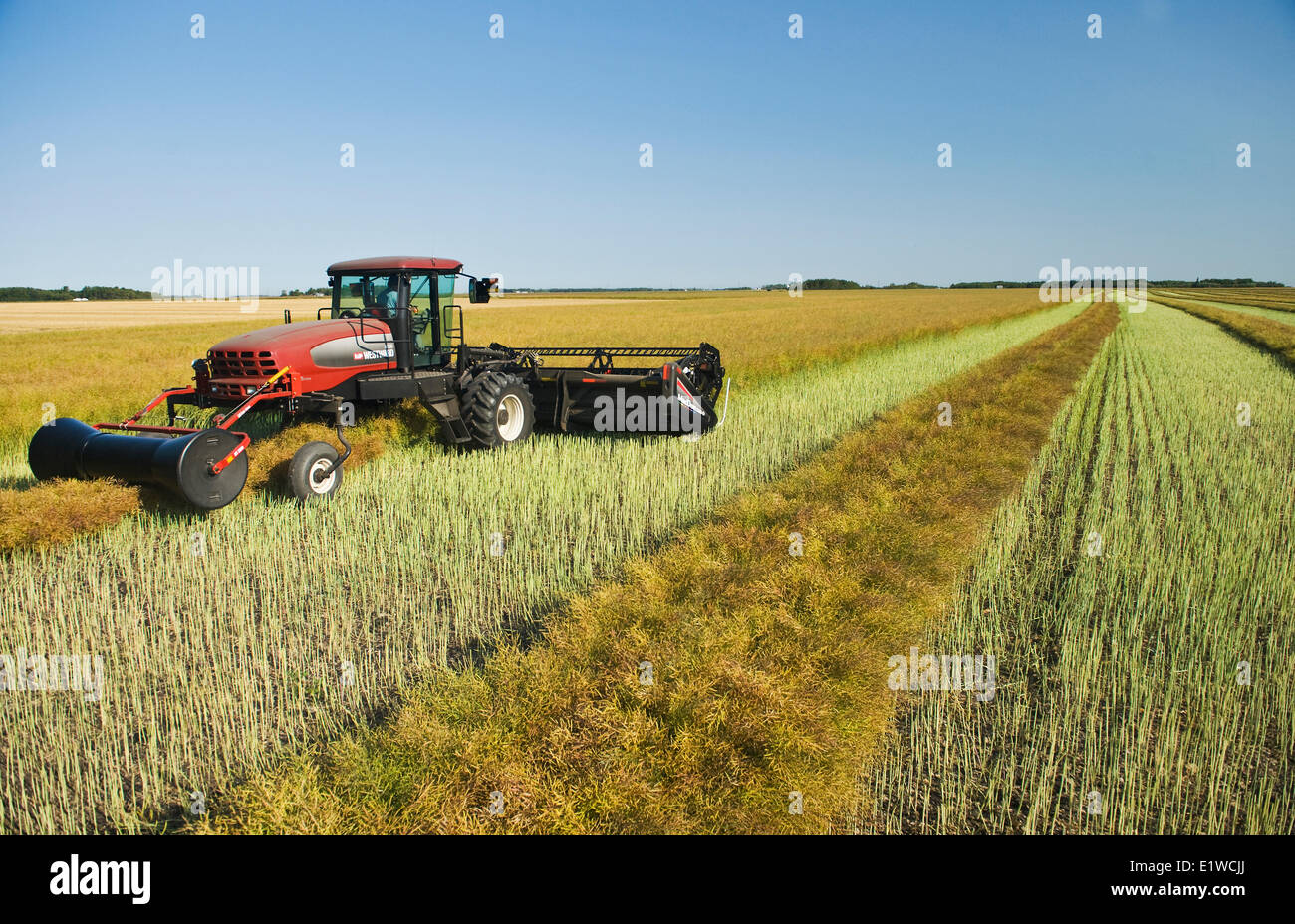 Swathing hi-res stock photography and images - Alamy
