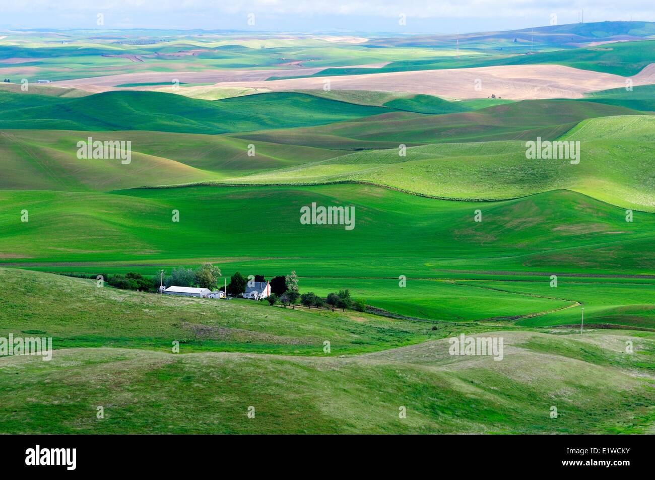 A farm and rolling farm land in the Palouse region in Washington State ...
