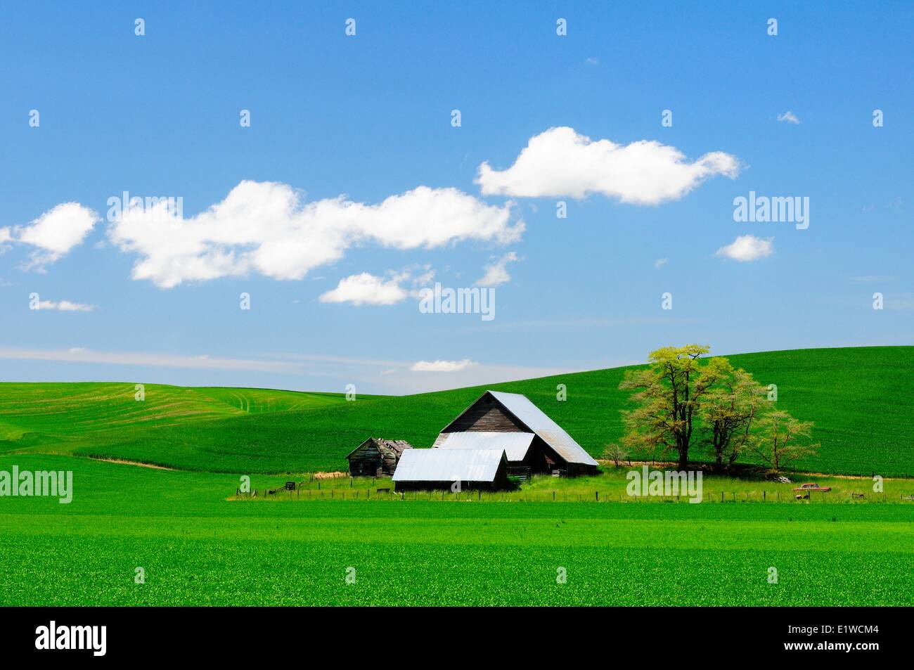 Old barns usa hi-res stock photography and images - Alamy