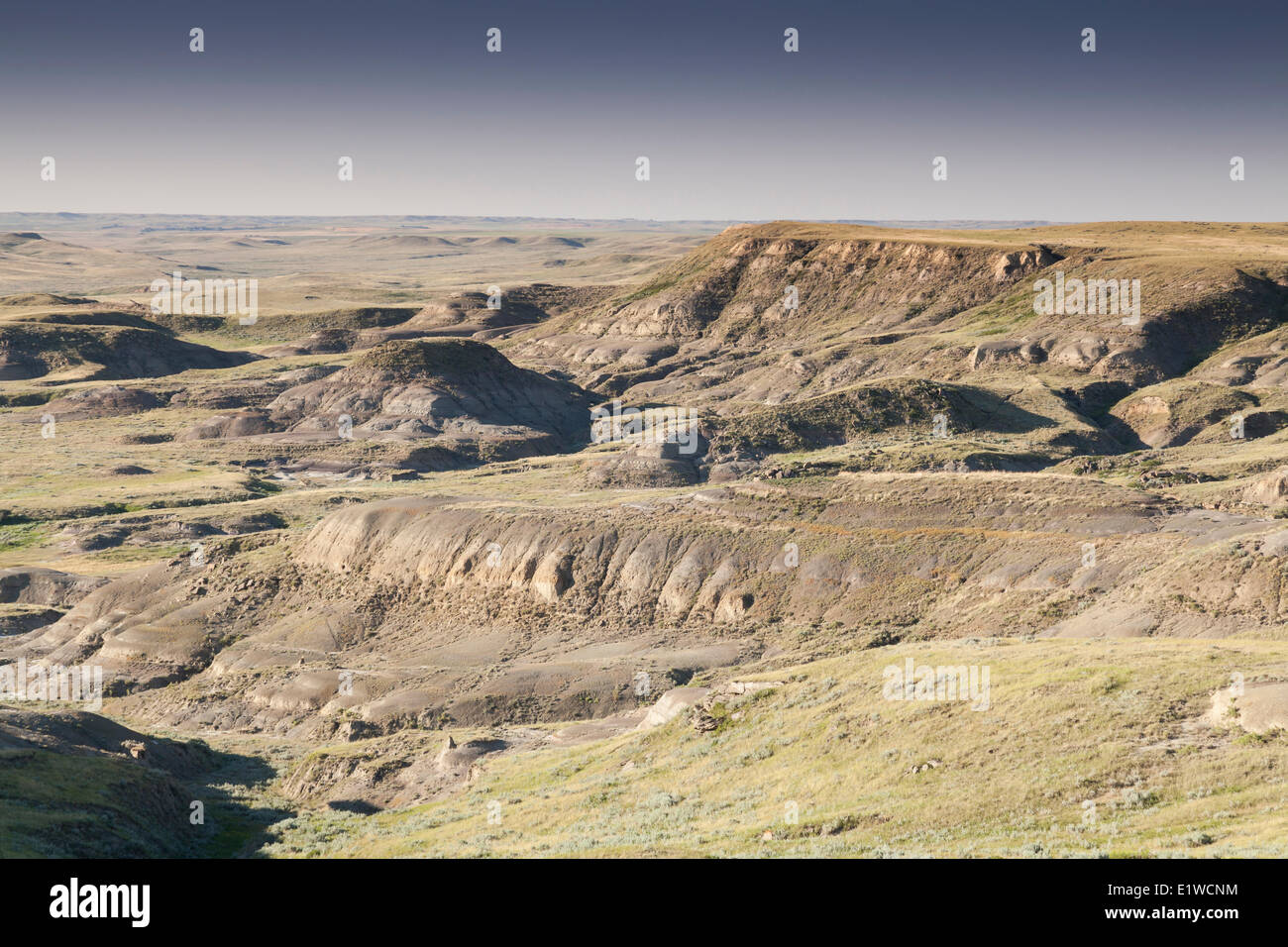 Grasslands saskatchewan hi-res stock photography and images - Alamy