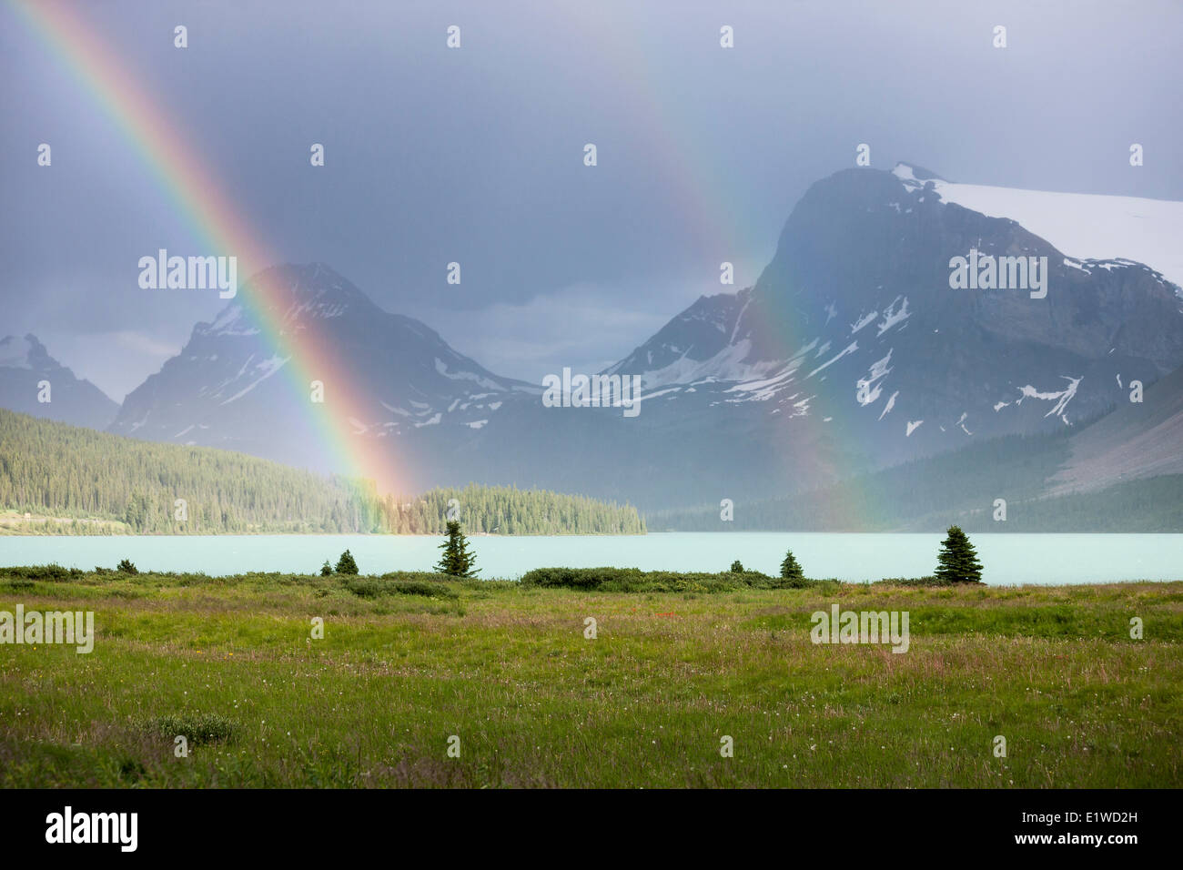 Crowfoot banff national park hi-res stock photography and images - Alamy