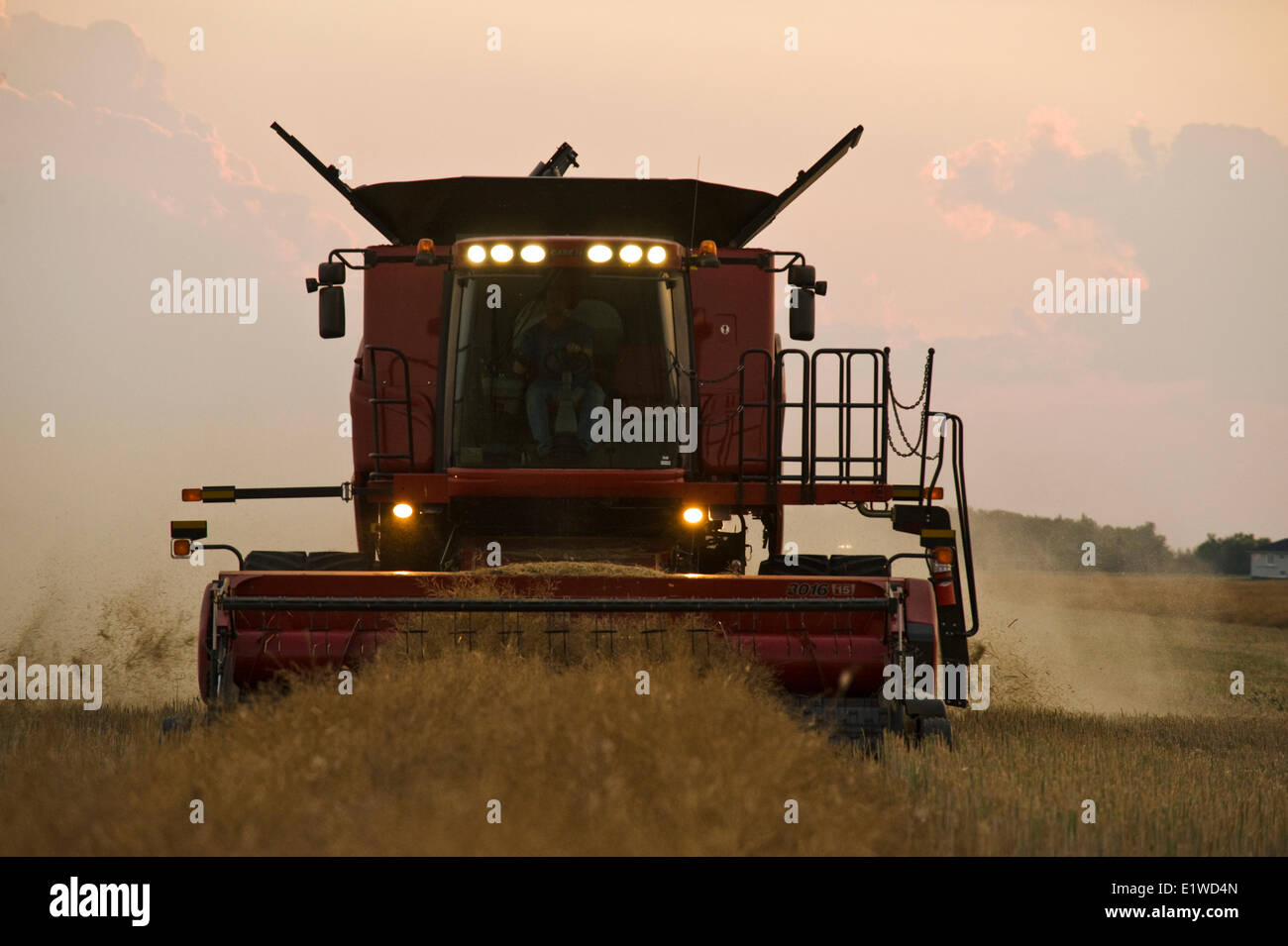 Tan lines man hi-res stock photography and images - Alamy
