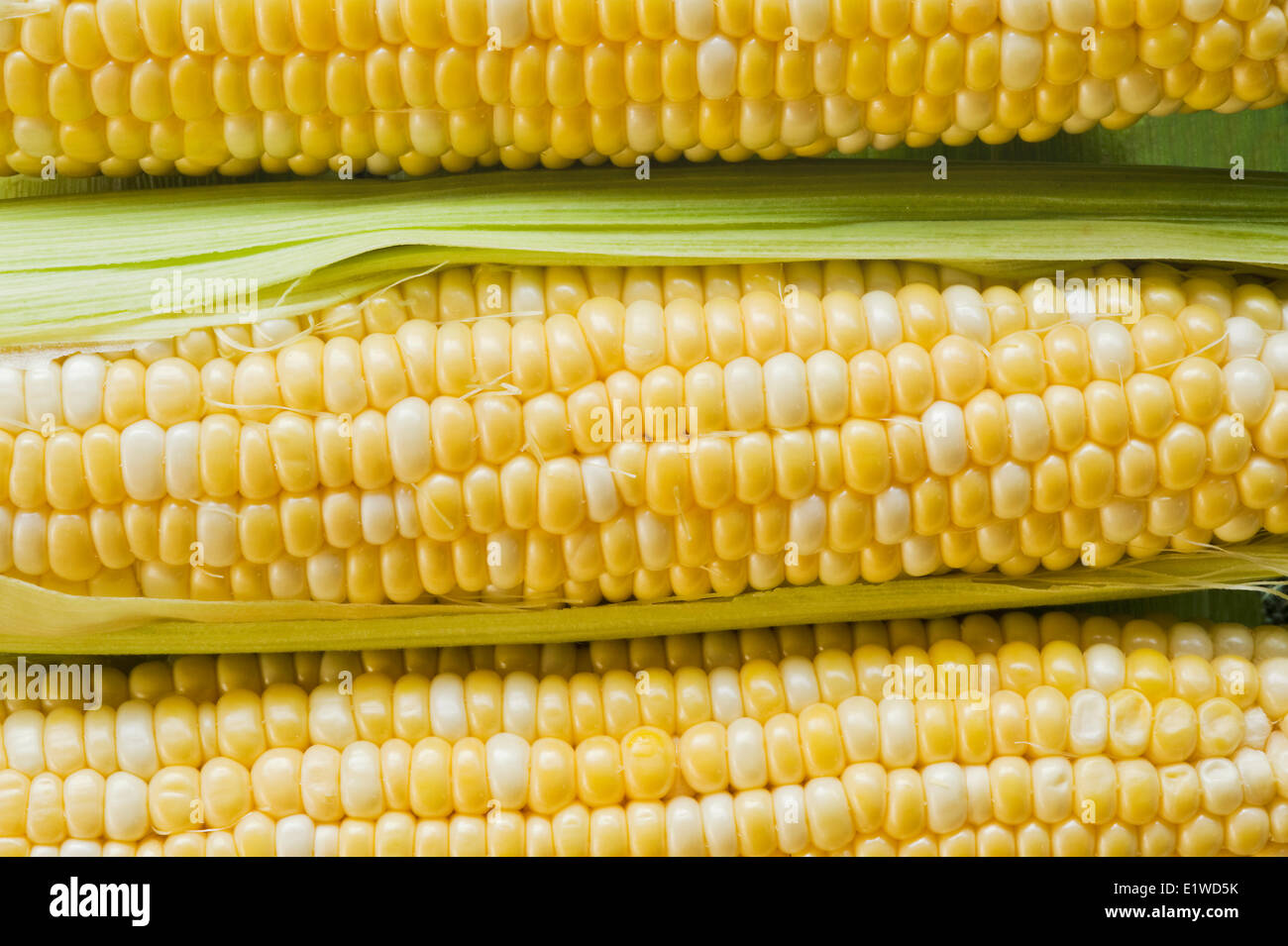 close-up of edible corn Stock Photo - Alamy