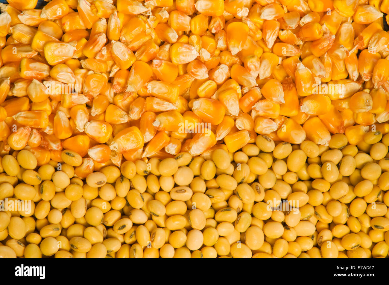 Mound of corn hi-res stock photography and images - Alamy