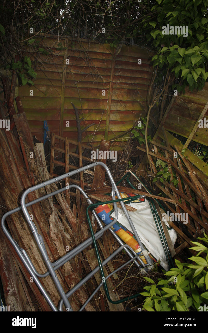 image of overgrown garden and rundown shed Stock Photo - Alamy