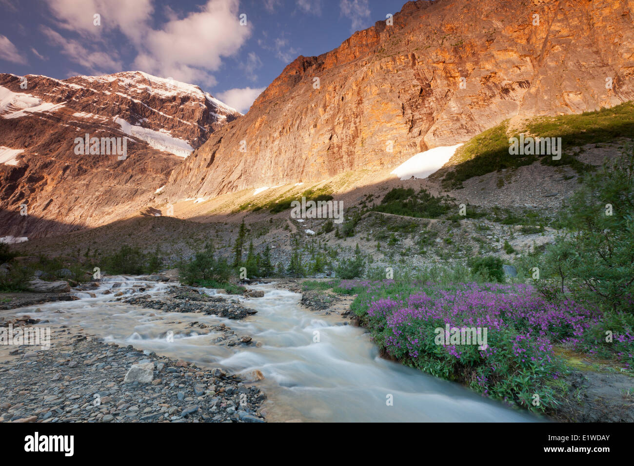 Glacial Stream And Fireweed High Resolution Stock Photography and ...