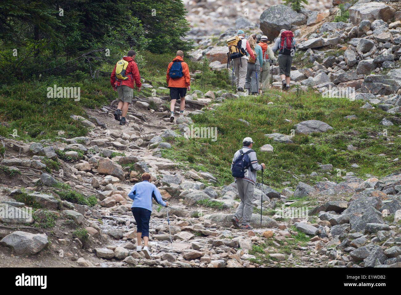 Edith cavell meadows trail hi-res stock photography and images - Alamy