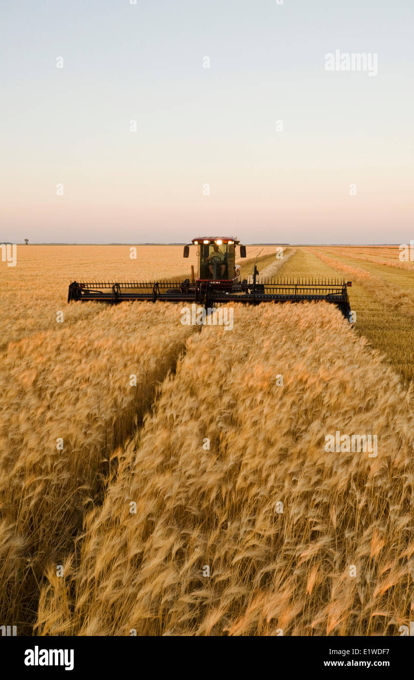 Swathing High Resolution Stock Photography and Images - Alamy