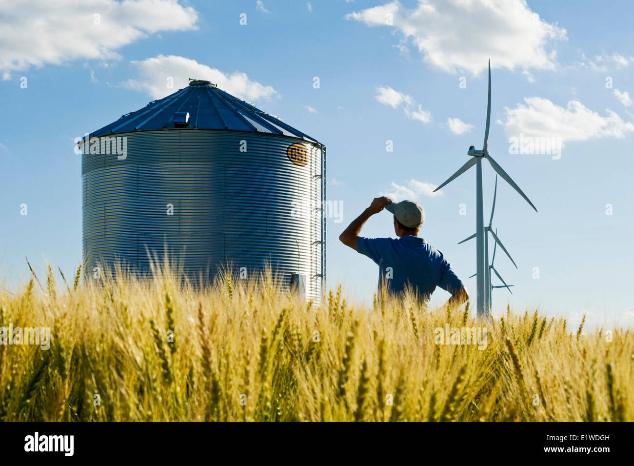 Farm crops wind turbines hi-res stock photography and images - Alamy
