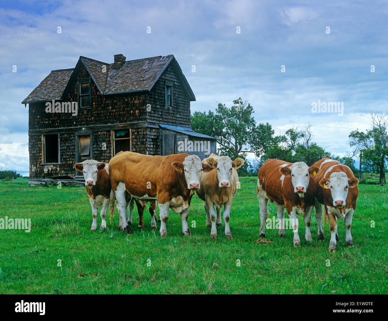 Old model house hi-res stock photography and images - Alamy