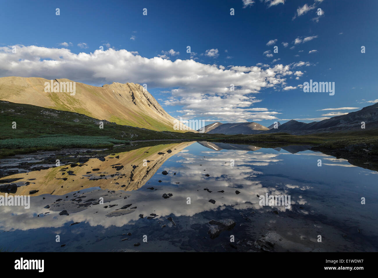 A small tarn reflects the surrounding hills at Wilcox Pass in Jasper ...