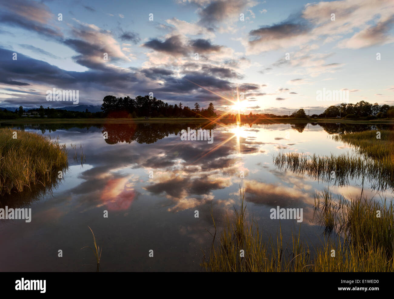 The Comox estuary at low tide is highlighted by a setting sun ...