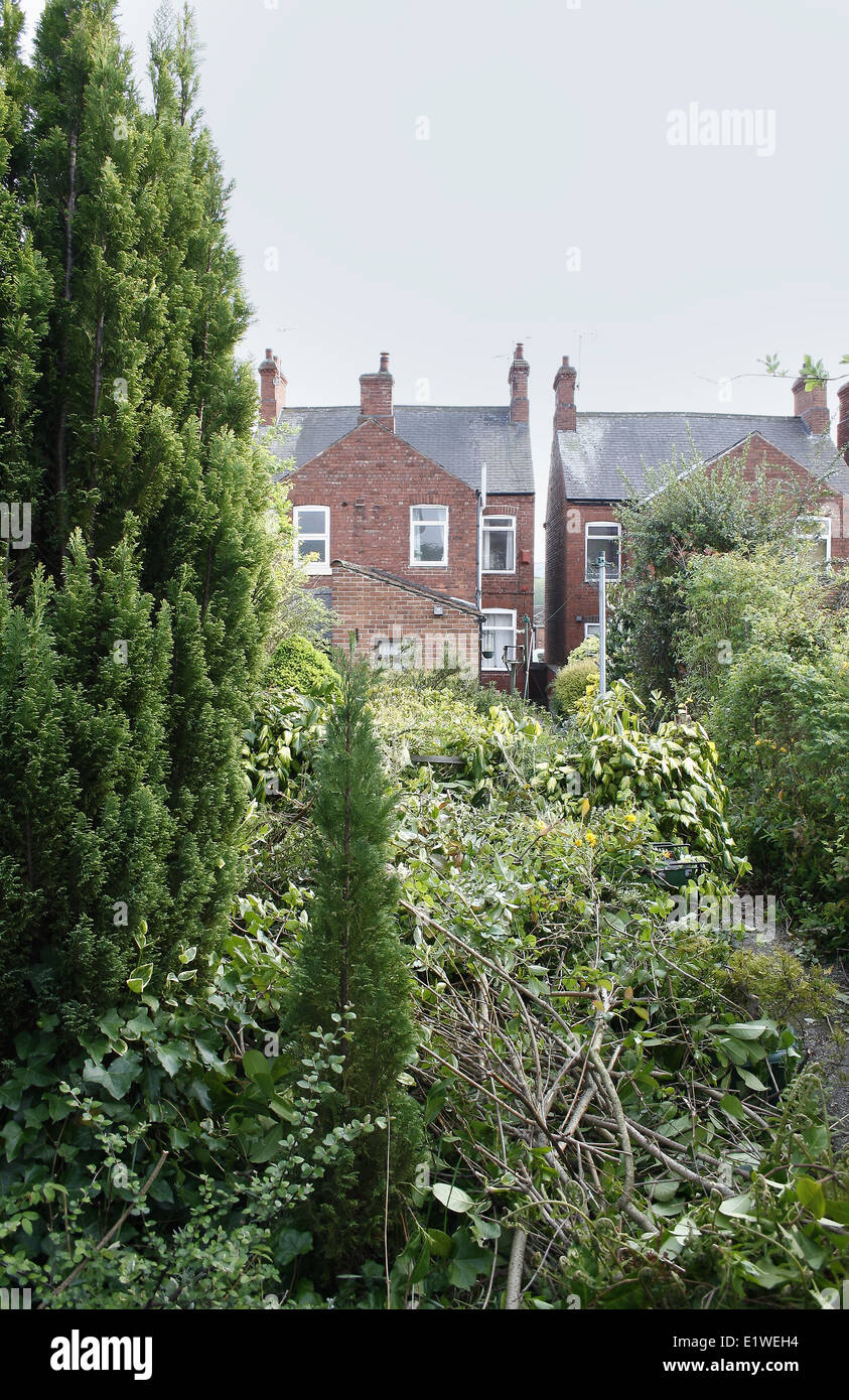 Overgrown garden uk hi-res stock photography and images - Alamy