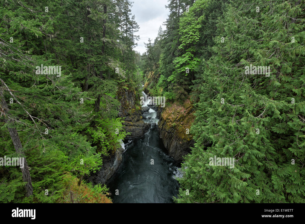 The Little Qualicum Rivers flows through a deep narrow gorge. Little ...