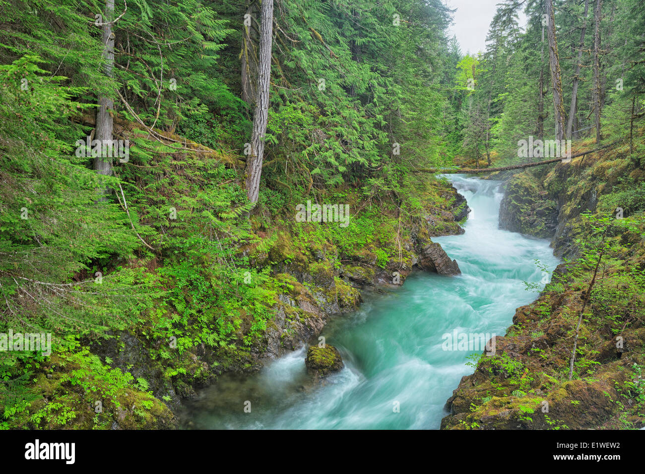 Narrow rivers hi-res stock photography and images - Alamy