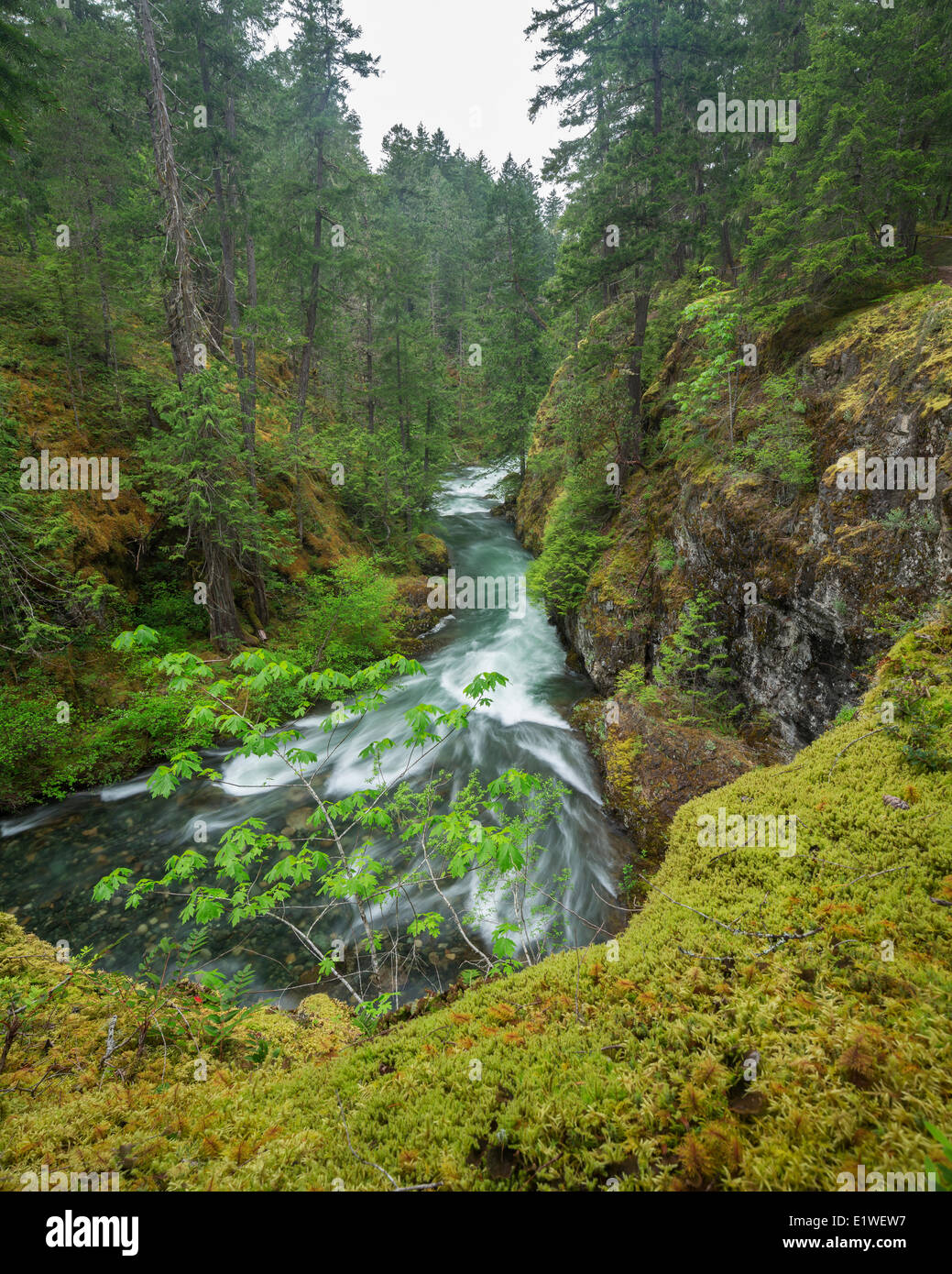 Deep narrow gorge hi-res stock photography and images - Alamy