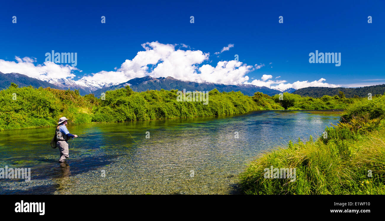 Fly Fishing New Zealand Spring Creeks South Island Stock Photo - Alamy