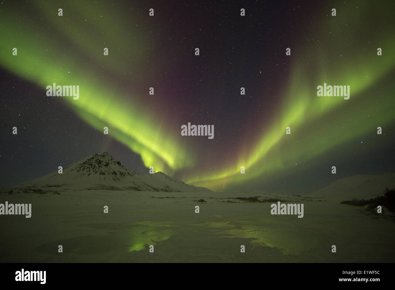 Northern lights dance across sky hi-res stock photography and images ...