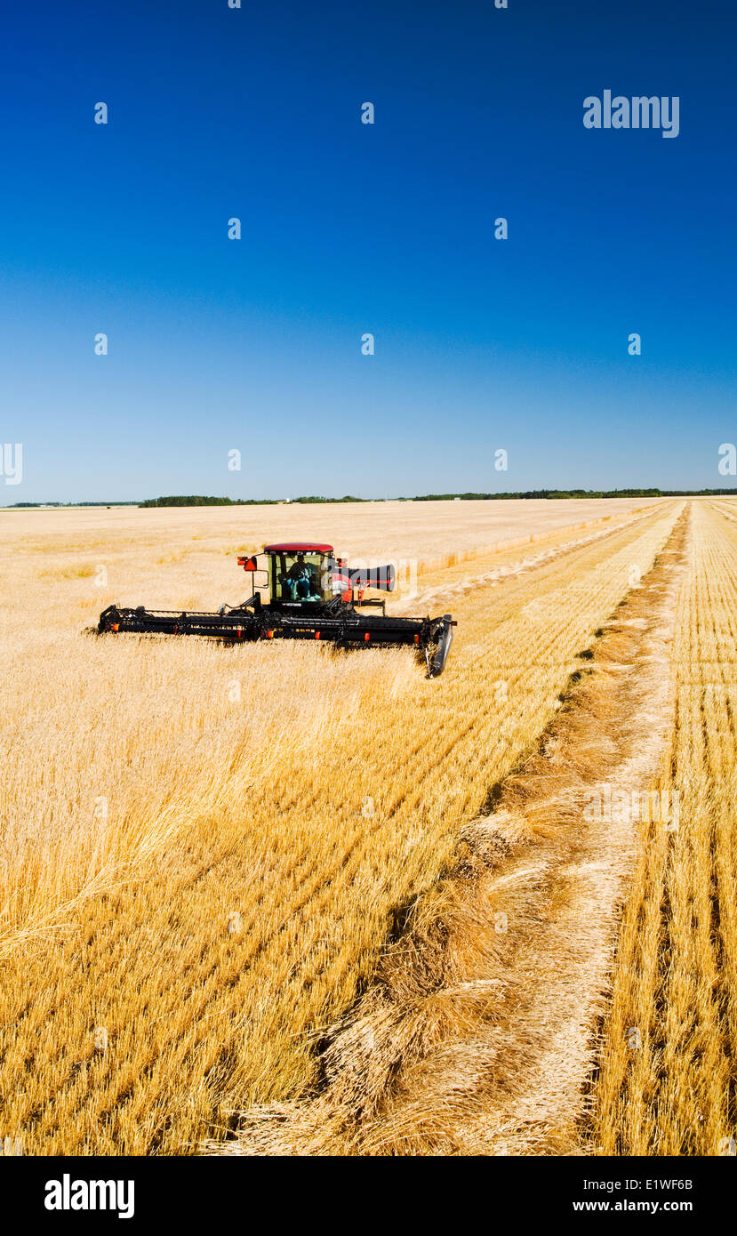 Swathing hi-res stock photography and images - Alamy