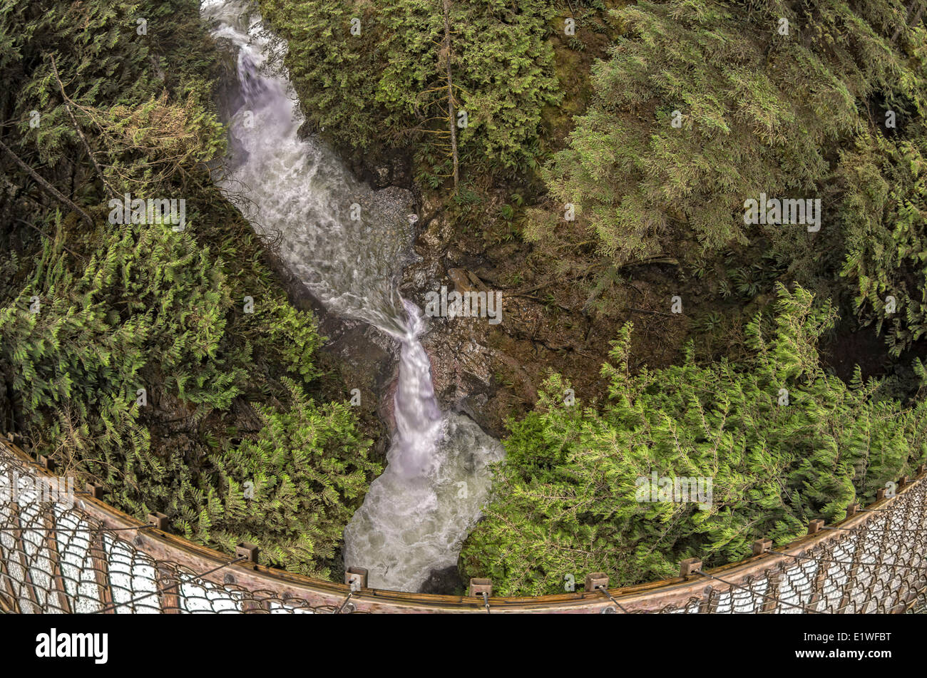 Looking down at waterfalls under a suspension bridge at Lynn Canyon in ...