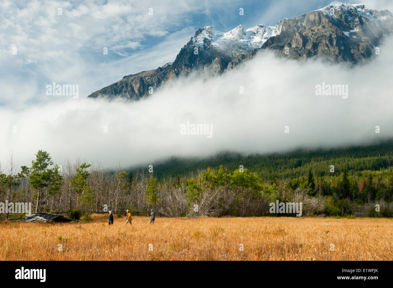 Hikers in a field below the snow-capped Niut Range, Tatlayoko Valley ...