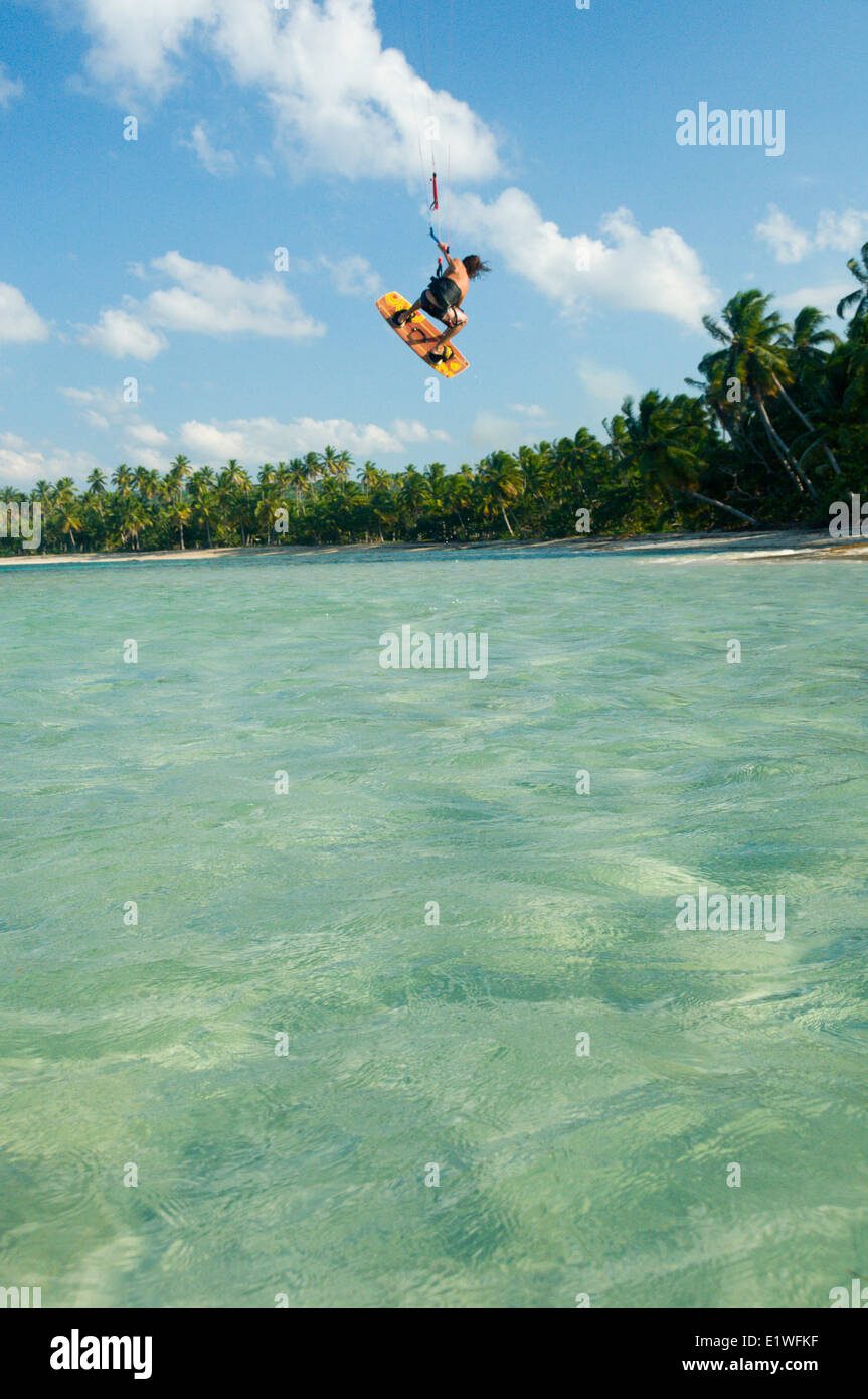 Inverted color tree hi-res stock photography and images - Alamy