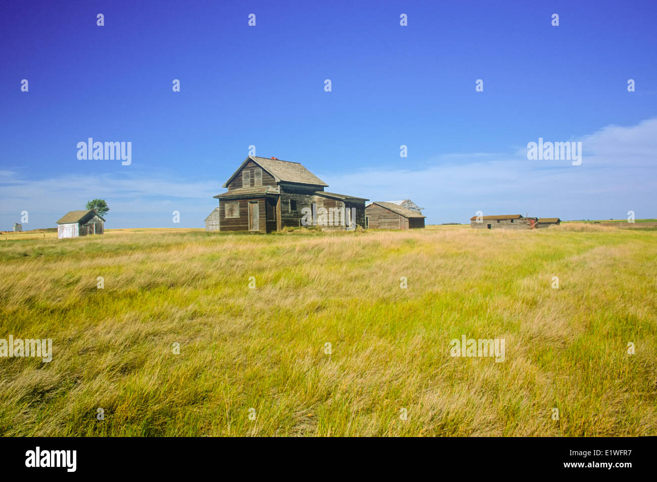 Major country hi-res stock photography and images - Alamy