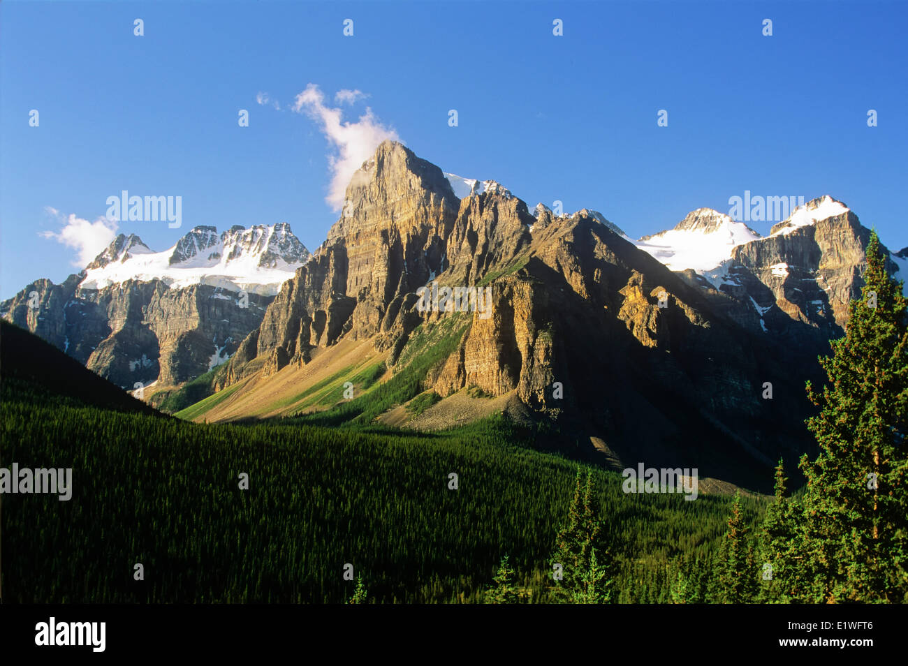 The ten trees hi-res stock photography and images - Alamy