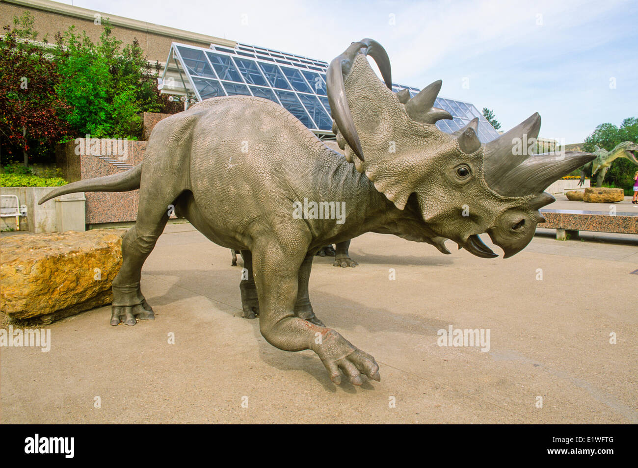 Dinosaur, Royal Tyrrell Museum, Drumheller, Alberta, Canada Stock Photo ...