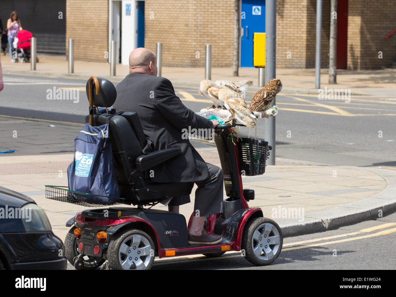 Elderly man unusual pet hi-res stock photography and images - Alamy