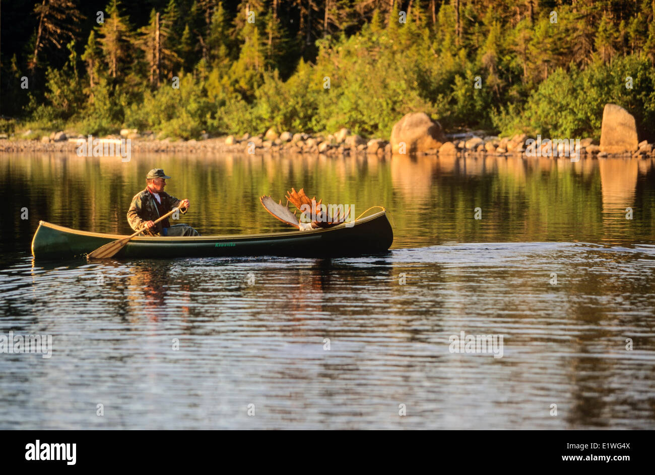 Guide and canoe at Tuckamore lodge lake, Newfoundland, Canada Stock ...