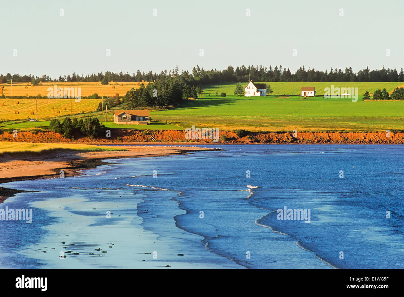 Spry image hi-res stock photography and images - Alamy