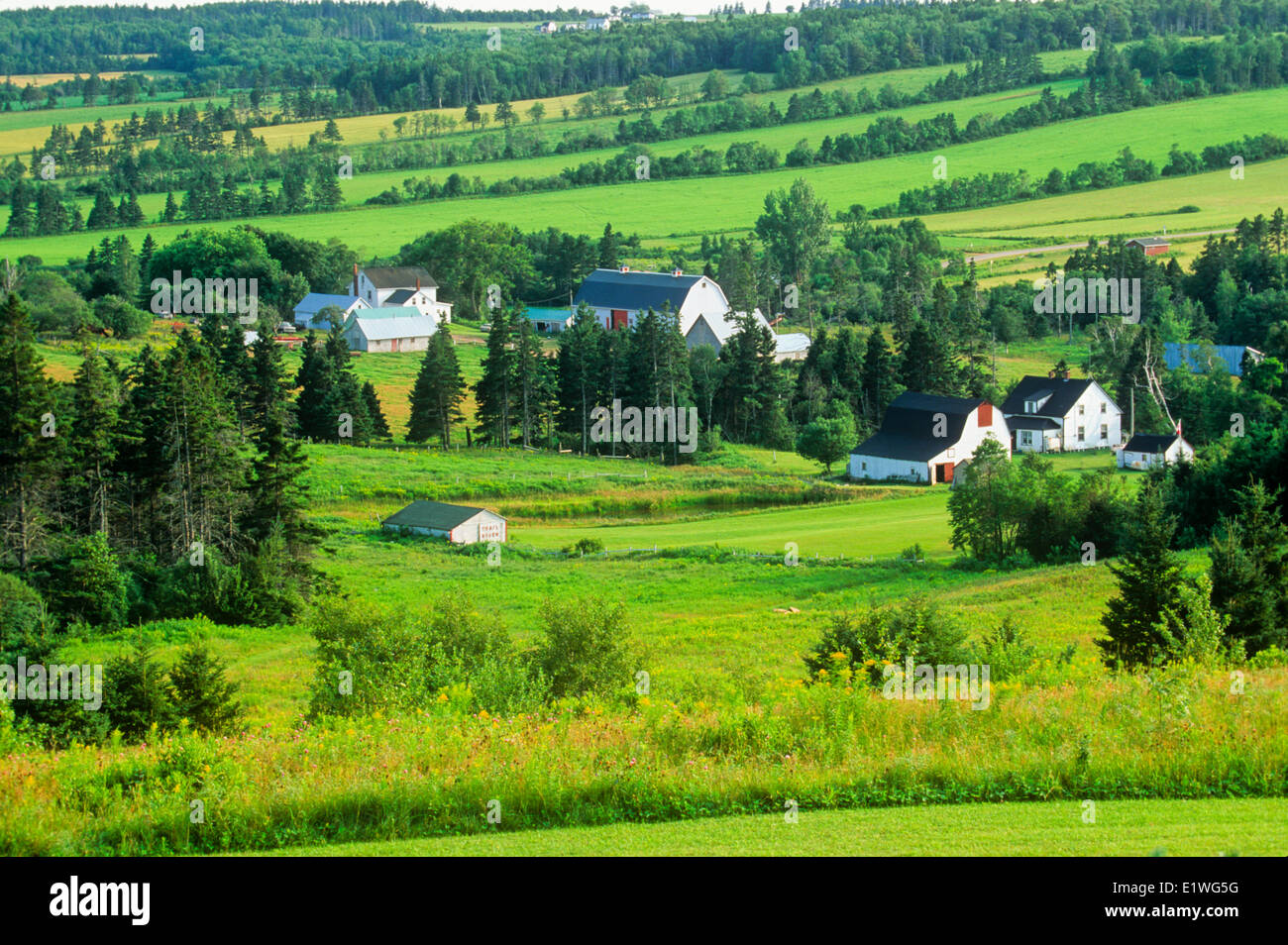 Farm New Glasgow, Prince Edward Island, Canada Stock Photo - Alamy