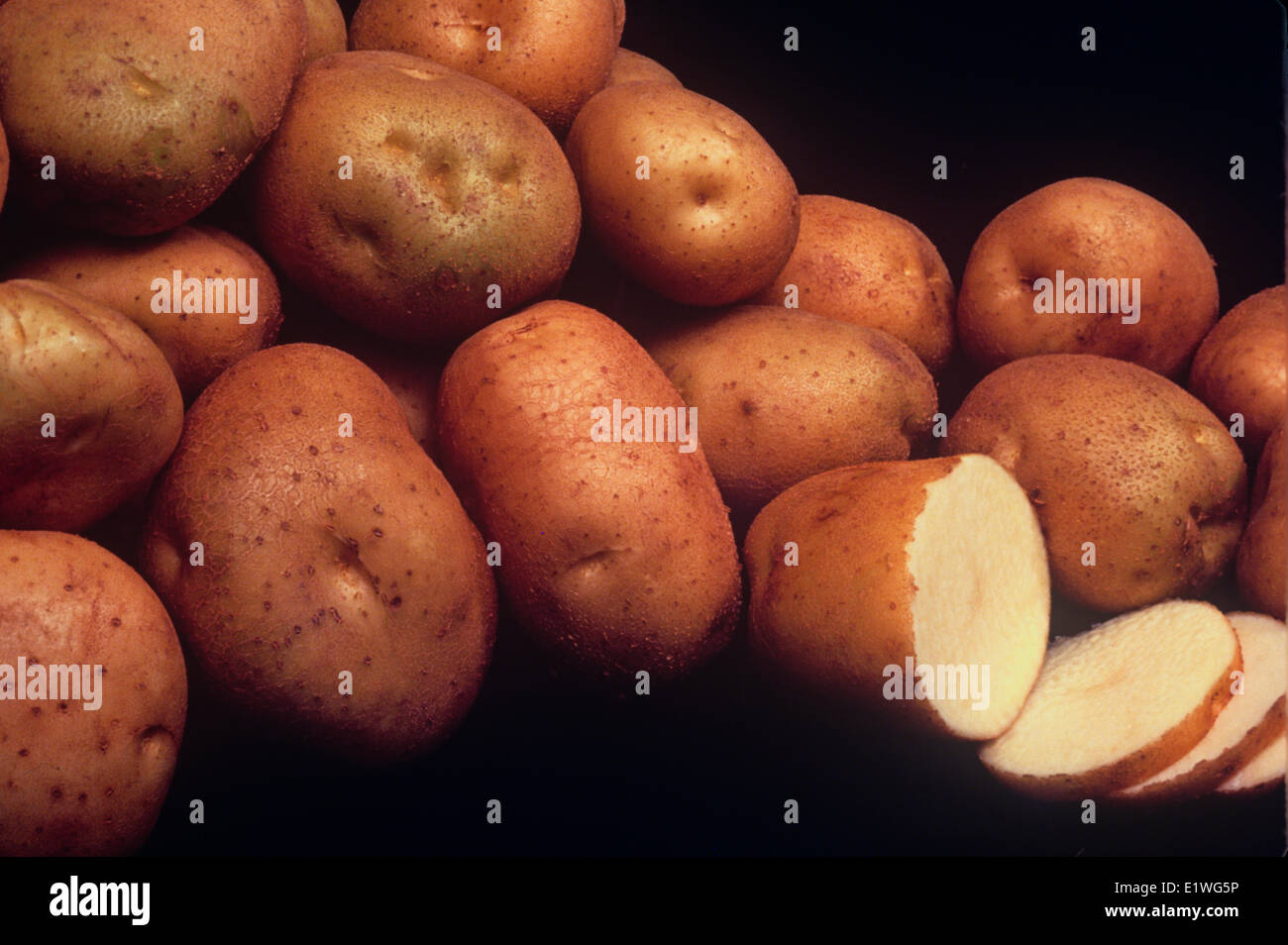 Potatoes, Prince Edward Island, Canada Stock Photo - Alamy