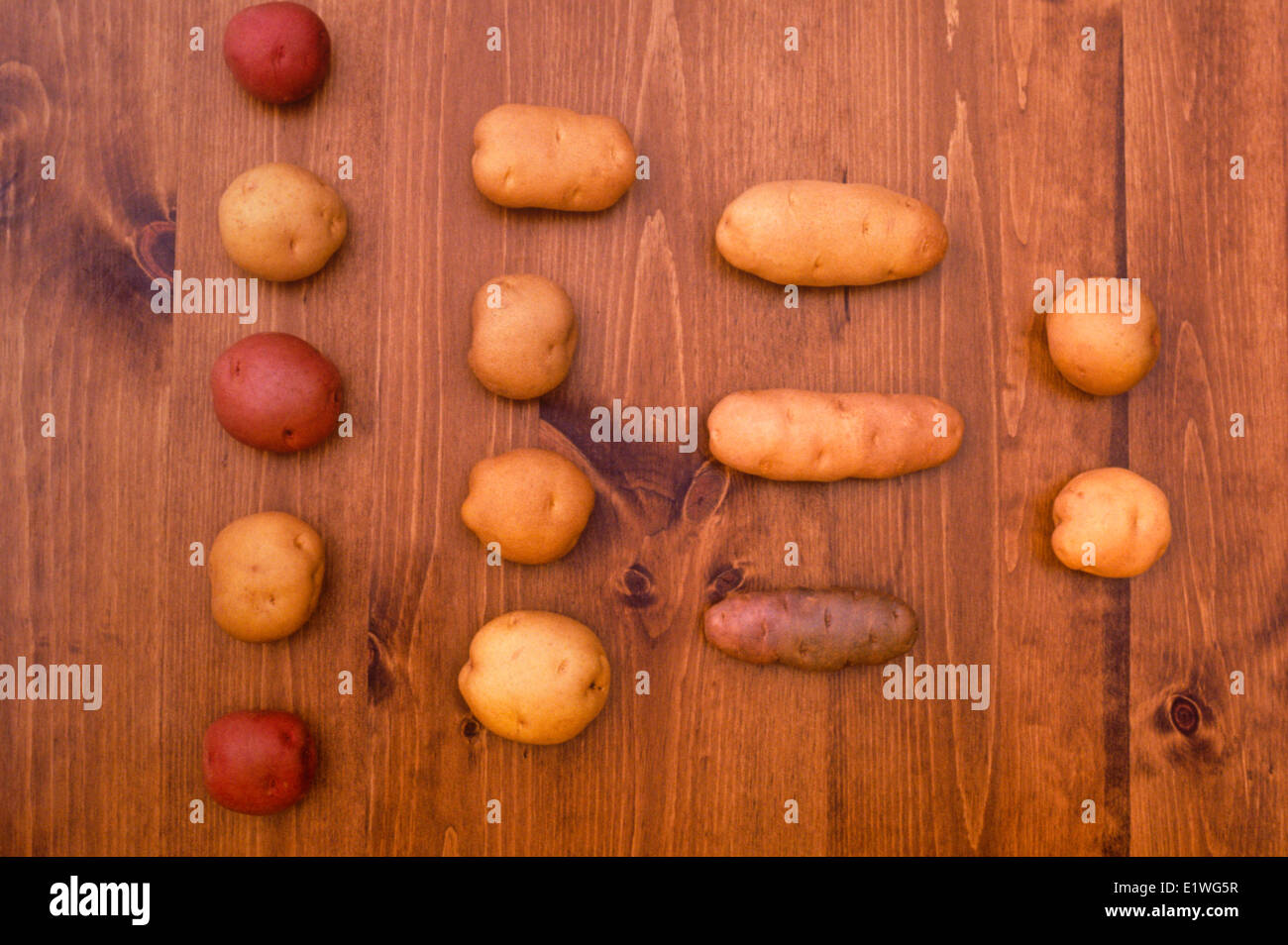 Varieties of potatoes, Prince Edward Island, Canada Stock Photo - Alamy