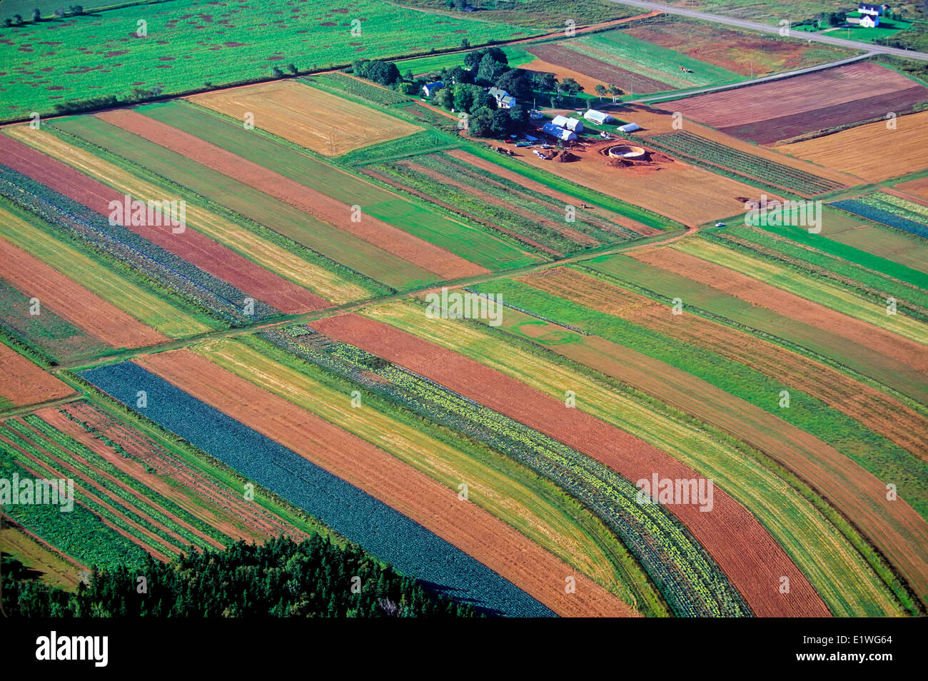 Aerial of strip farming, Prince Edward Island, Canada Stock Photo - Alamy