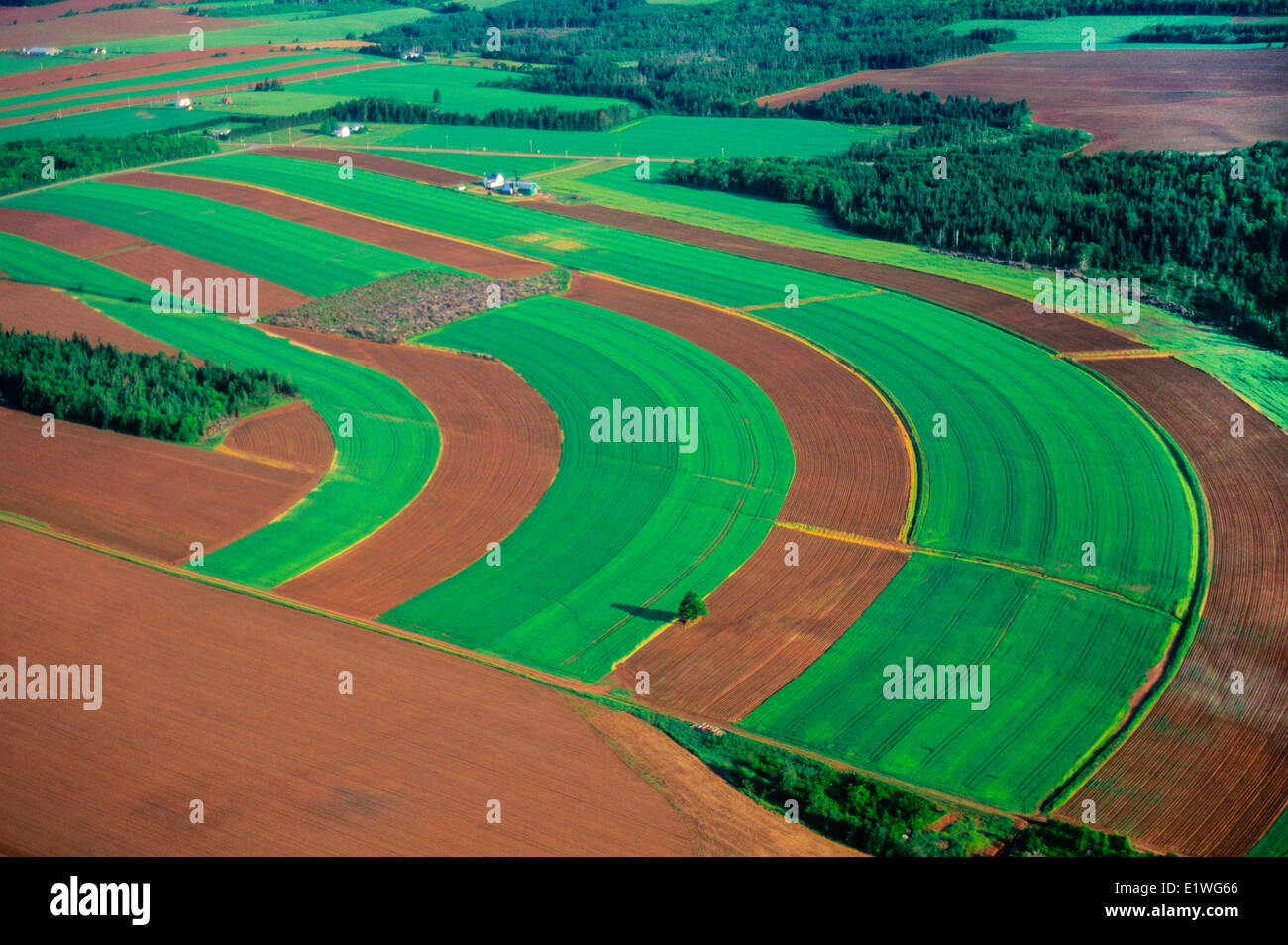 Strip farming aerial hi-res stock photography and images - Alamy
