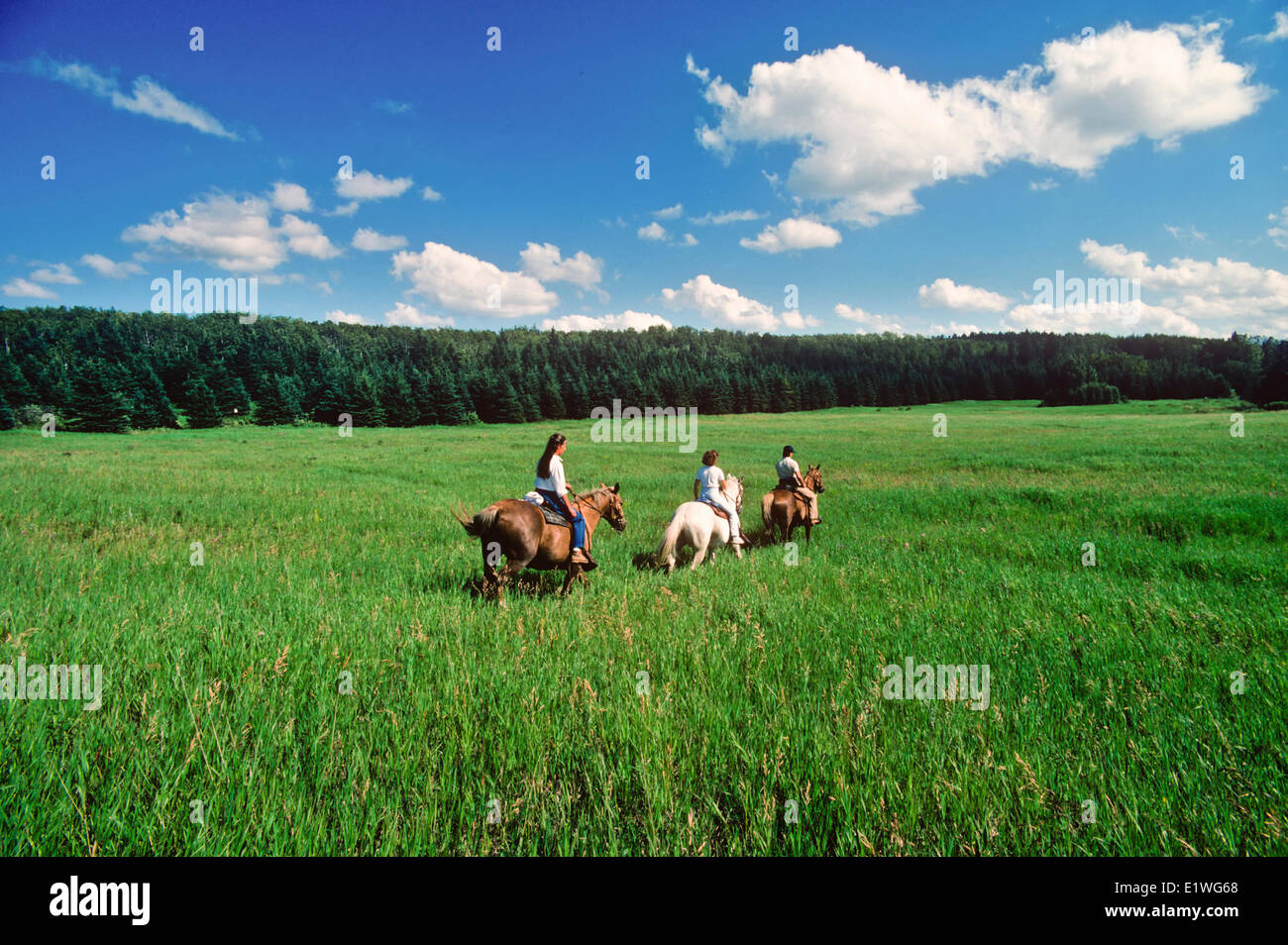 Horseback Riding, Riding Mountain National Park, Manitoba, Canada Stock ...
