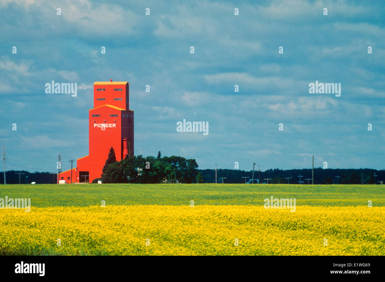 Grain Elevator, Dutton, Manitoba, Canada Stock Photo - Alamy