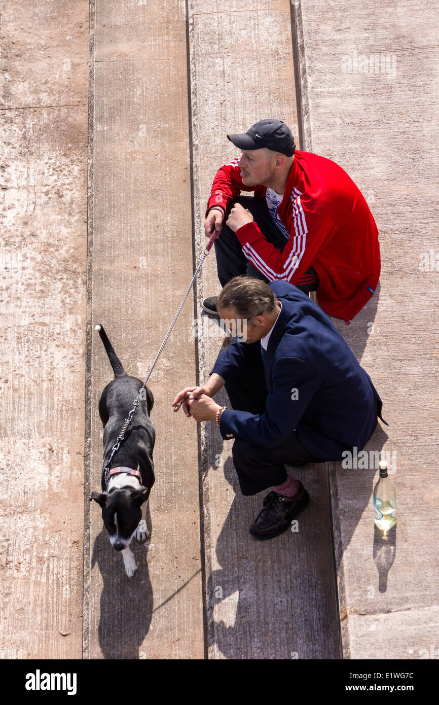 Two men sit on concrete steps passing the time of day with 'Mans best ...