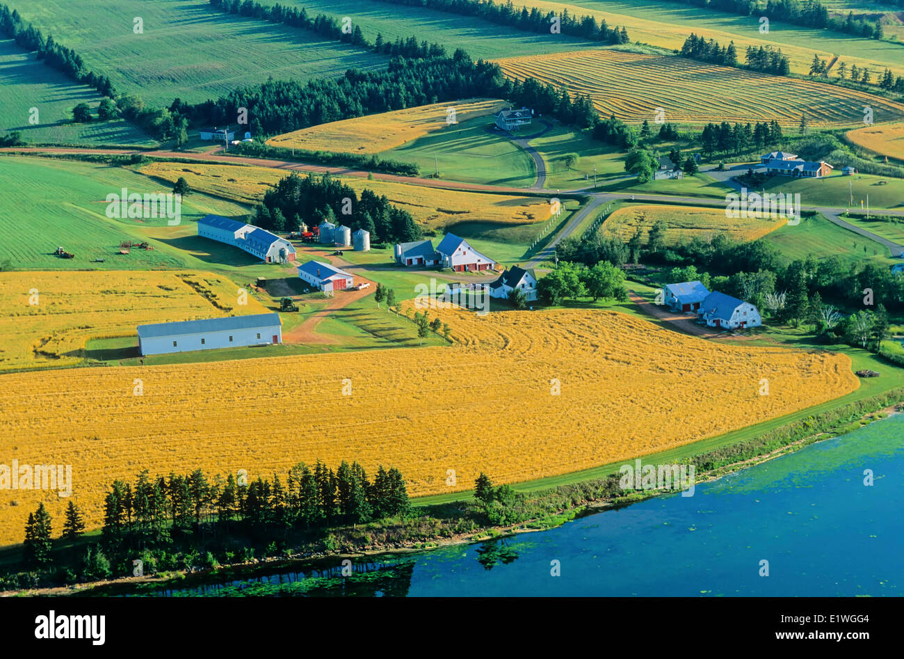 Aerial of farm, Rusticoville, Prince Edward Island, Canada Stock Photo ...