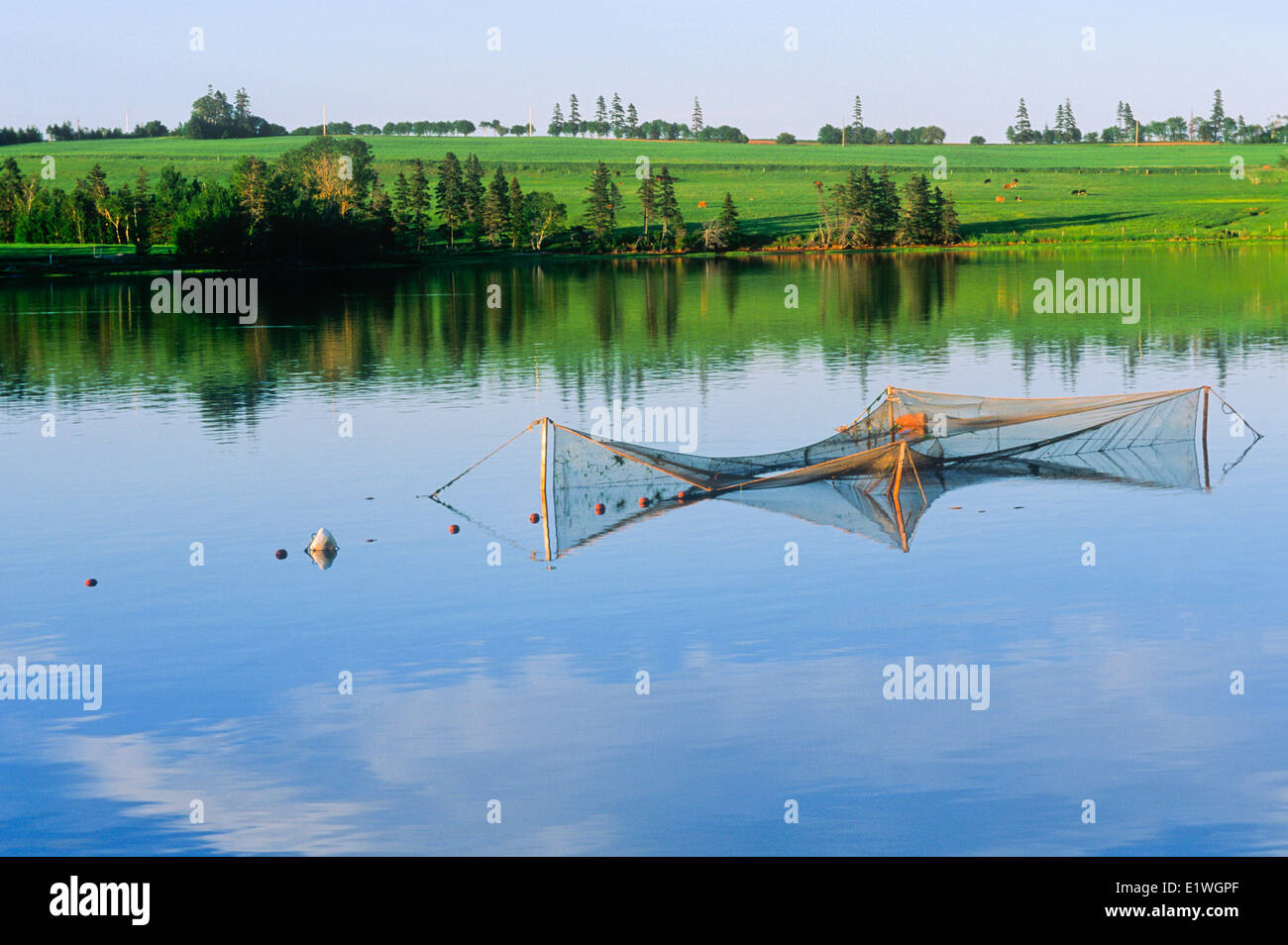 Gaspereau net hi-res stock photography and images - Alamy