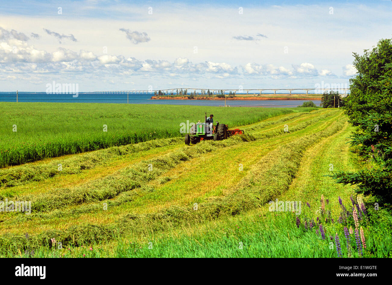 Farmer raking grass hi-res stock photography and images - Alamy