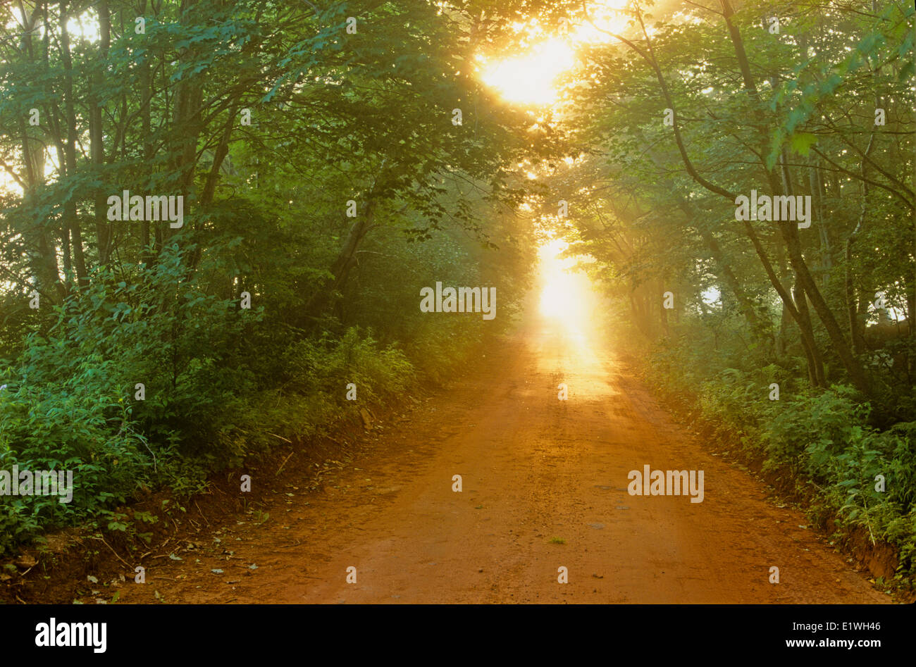 Misty island canada hi-res stock photography and images - Alamy