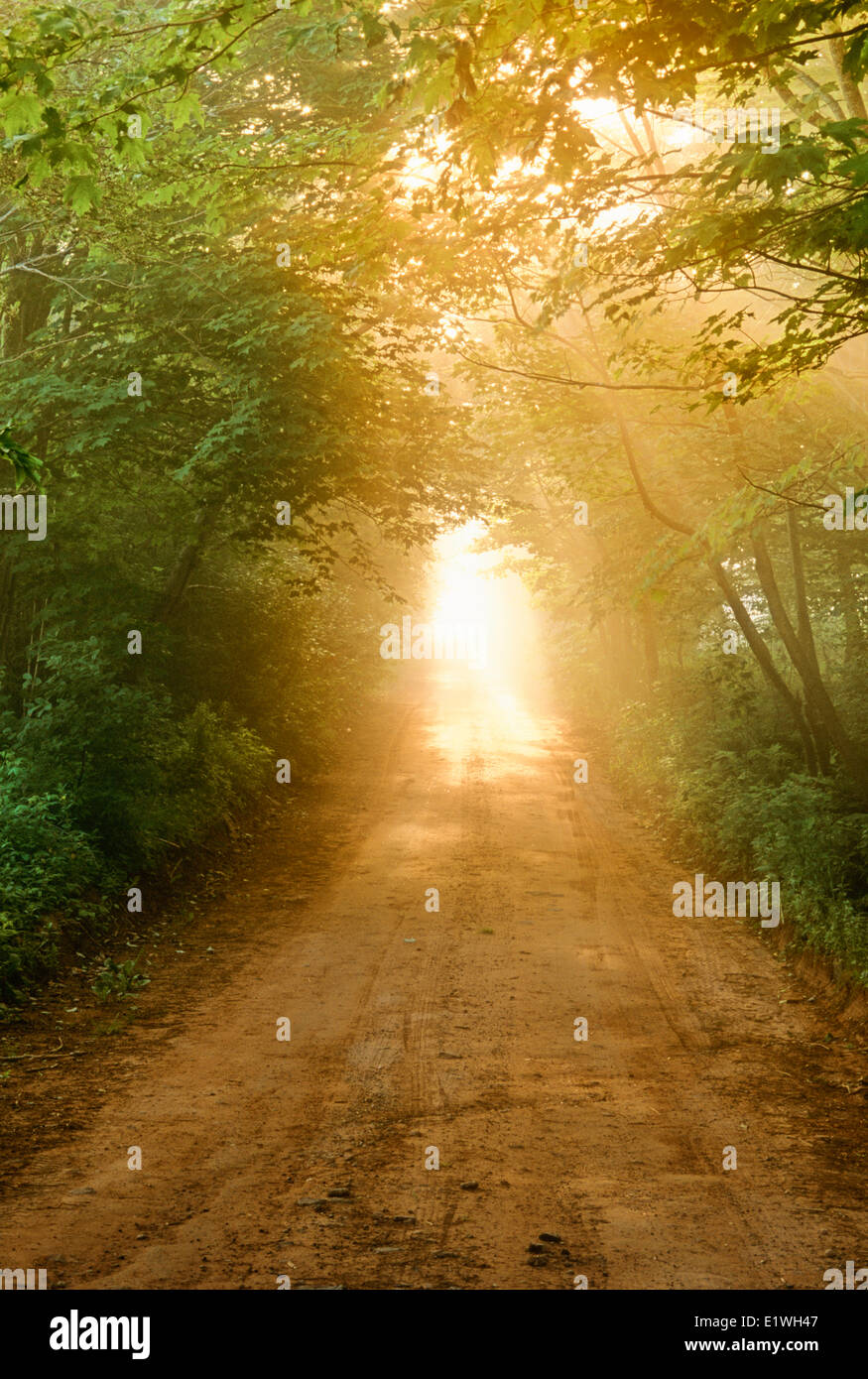 Clay road, York Point, Prince Edward Island, Canada Stock Photo - Alamy